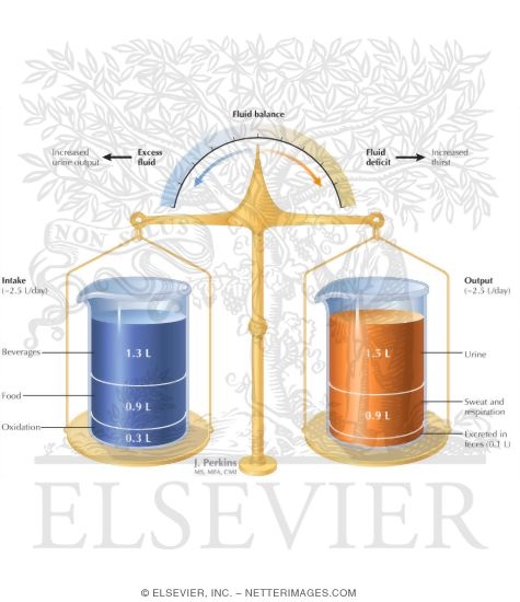 Know your phases and master fluid management – ICMWK